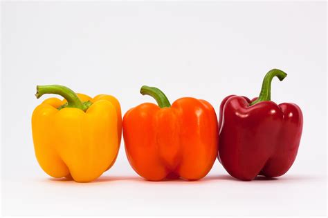 무료 이미지 과일 주황색 식품 빨간 생기게 하다 야채 부엌 노랑 건강한 먹다 맛있는 쿡 삽화 파프리카
