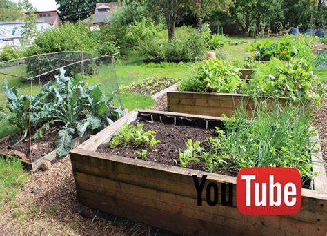 Five Reasons To Get Naked In Your Garden Homestead Guru