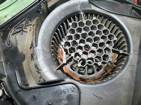 Bmw F10 5시리즈 고질병 블로워모터 웅웅웅 소음수리세척작업 경상북도 상주시 만산동 비즈프로필