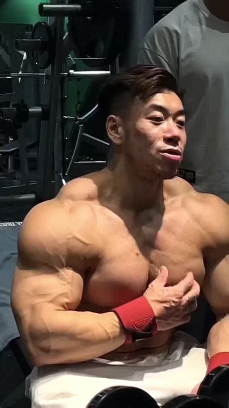 Got Pecs Tumbex