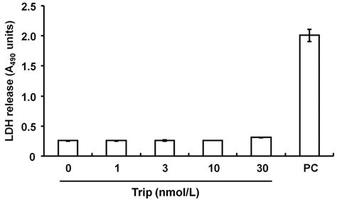 Lack Of A Cytotoxic Effect Of Triptolide On Htfs Cells In Collagen Gels Download Scientific