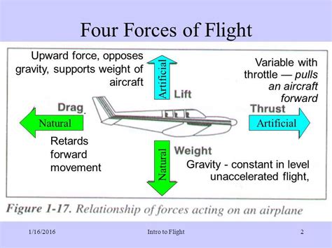 Understanding The Diagram Of Forces In Flight