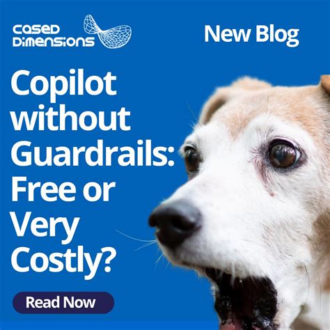 Microsoft365 Copilot Ai Datasecurity Compliance Cyberrisk… Dermot Bleeks