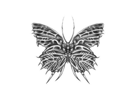 Эскиз бабочка Эскиз Бабочки Иллюстрации