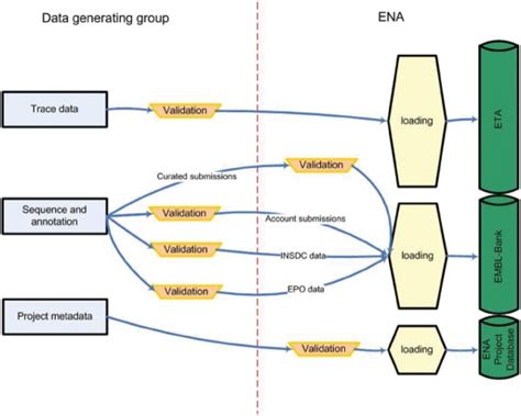 Input Pipelines Into ENA Data Input Pipelines Into ENA Are Shown The