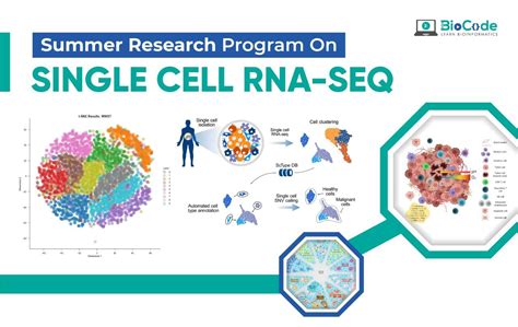 Summer Research Program On Single Cell Rna Seq Biocode