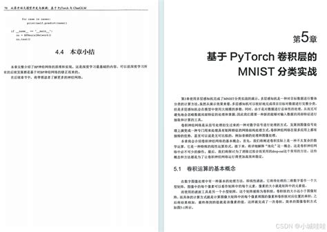 免费下载 《从零开始大模型开发与微调：基于pytorch与chatglm》pdf 从零开始大模型开发与微调 pdf下载 csdn博客