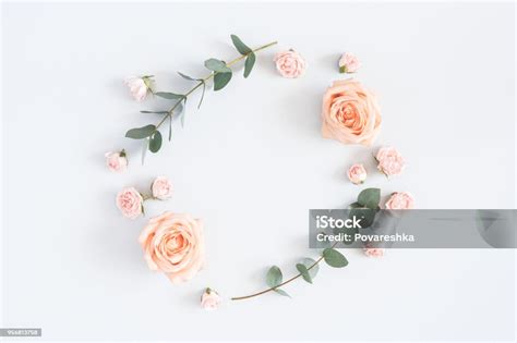 장미 꽃 유 칼 리 나무 가지 화 환입니다 평면 위치 최고 보기 플랫 레이에 대한 스톡 사진 및 기타 이미지 플랫 레이 0