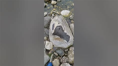 돌 비싼수석 골동품 난초 소나무 취미 제주돌박물관 분재 비싼그림 Youtube