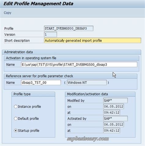 how to import and maintain sap system profile sap basis easy