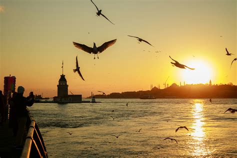 Dwarkadhish Wallpaper 4k Photos Download The Best Free Dwarkadhish