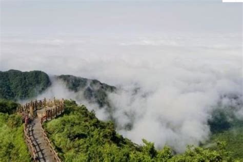 2021年8月南宁大明山景区门票活动 旅泊网