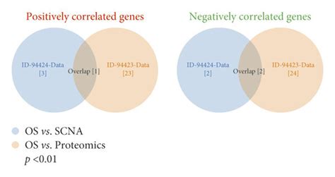 Comparisons Of Gene Expression Profiles In Idh1 And Enrichment Pathway