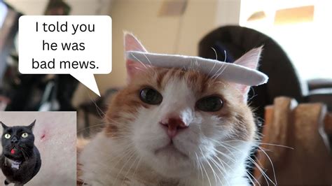 He Attacked Me Youtube