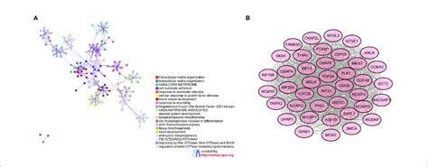 Gene Interaction Network Diagram And Key Gene Modules A Functional Download Scientific