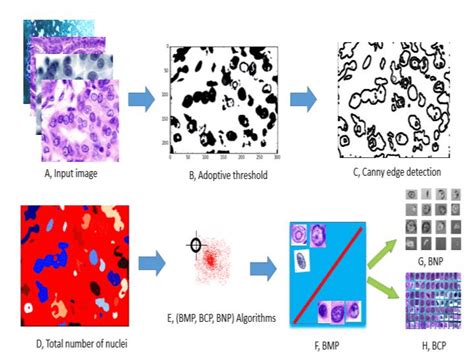 Noise Reduction And Object Detection Download Scientific Diagram