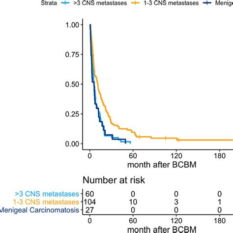Overall Survival According To Extent Of Brain Metastases 1e3 Download Scientific Diagram