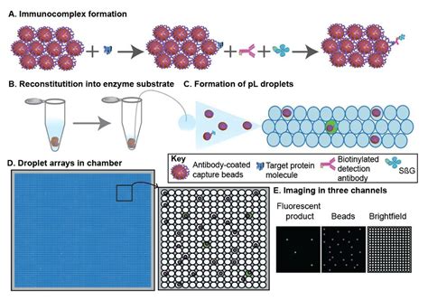 Microfluidics For Biology Experimental Soft Condensed Matter Group