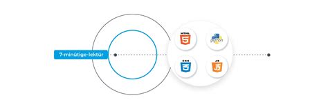 grundlegende sprachen für full stack entwickler was sie lernen sollten