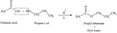 Octyl Acetate Lewis Structure