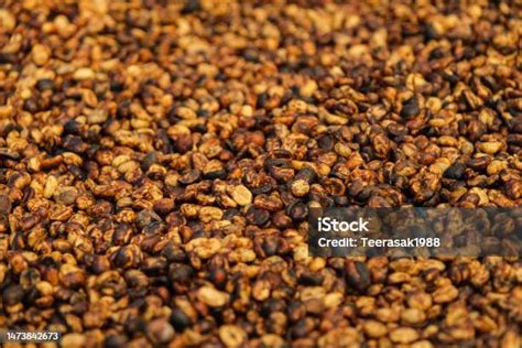 햇빛 아래에서 커피 원두의 대량 건조의 배경 꿀 과정에 의한 커피 원두의 자연 건조 전구를 제거하고 건조를 위해 달콤하게 남아