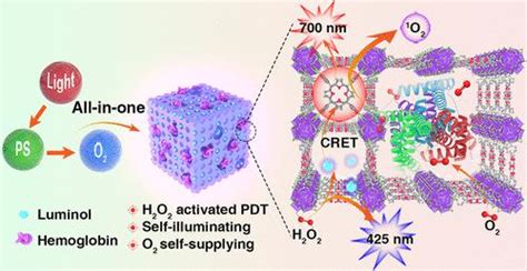 工程化 MOF 酶纳米复合材料用于具有自发光和自供氧的肿瘤微环境激活光动力疗法 ACS Applied Materials