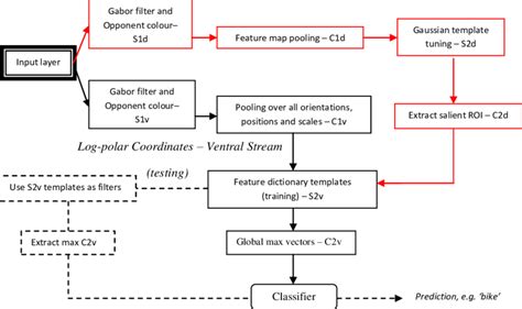 The Architecture Of The Hierarchical Object Recognition Model Proposed Download Scientific