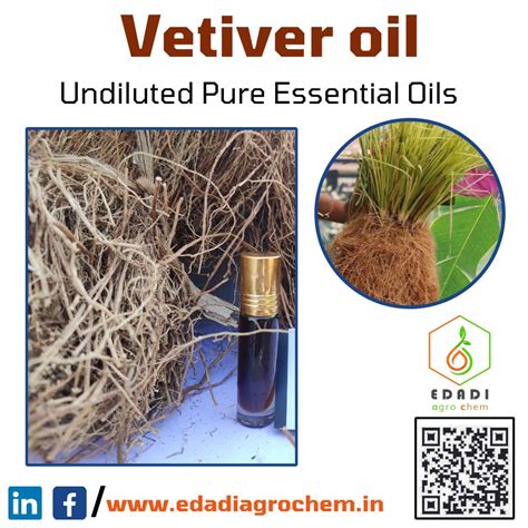Why Vetiver Oil Is A Versatile Essential Oil Ayyanar Edadi Posted On The Topic Linkedin