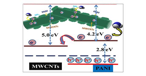 Polyaniline Anchored Mwcnts On Fabric For High Performance Wearable Ammonia Sensor Acs Sensors