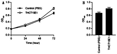 Fusobacterium Nucleatum Polymorphic Subspecies Isolate And Application
