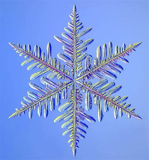 In Pictures The Many Shapes Of Snowflakes The Globe And Mail