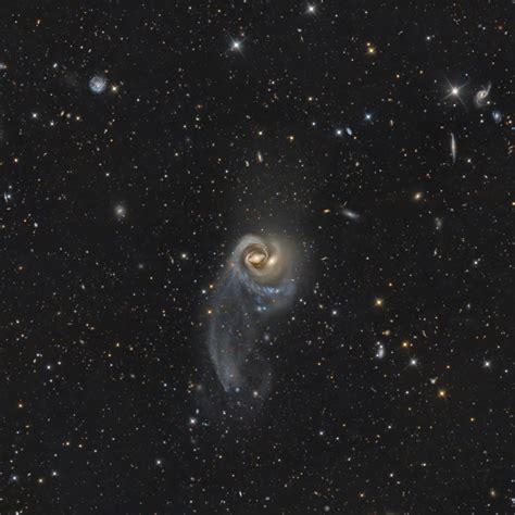 Aquarius Arp It Https