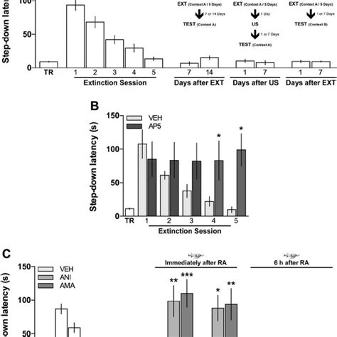 Retrieval Induces Reconsolidation Of Fear Extinction Memory A Download Scientific Diagram