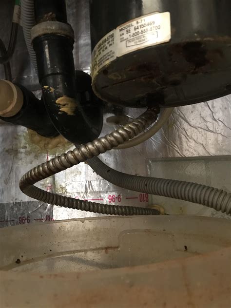 Garbage Disposal Leaking After Plunging At Sarah Bugarin Blog