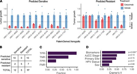 In Vivo Cetuximab Treatment Efficacy Aligns With Predicted Pdx Download Scientific Diagram