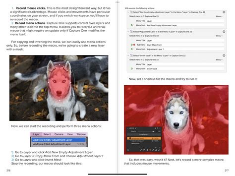 Alexonraw Ebook And Pro Color Grading Styles For Capture One Bundles Photo Rumors