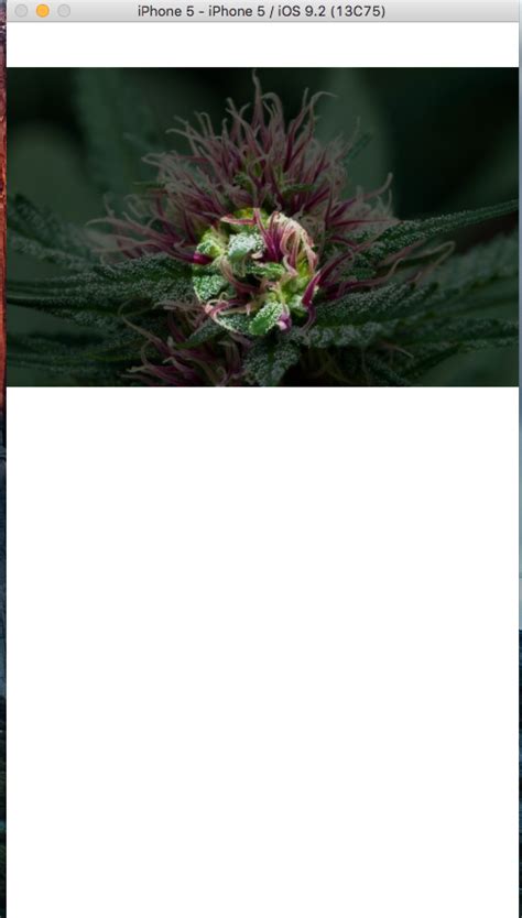 Ios Consistenlty Centering Calayer Sublayer Over A Uiimageview