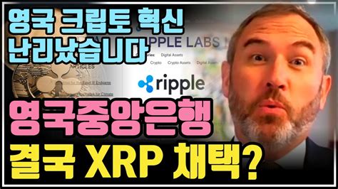 리플 결국 난리날까 ⎮ 비트코인 비트코인etf 리플 리플코인 리플소송 리플전망 Xrp Xrpnews 비트코인가격