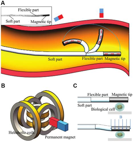 Schematic Illustration Of A Soft Continuum Robot A Schematic Of The Download Scientific