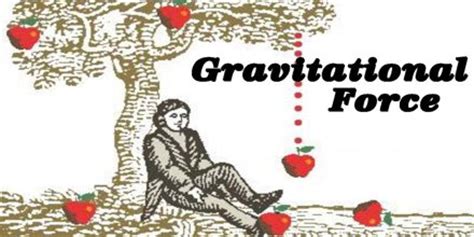 Gravitational Force Assignment Point
