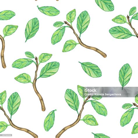 흰색 배경에 매끄러운 패턴의 녹색 잎으로 분기 수채화 손 그리기 그림 어린 잎이 있는 스프링 나뭇가지 디지털 종이에 적합합니다