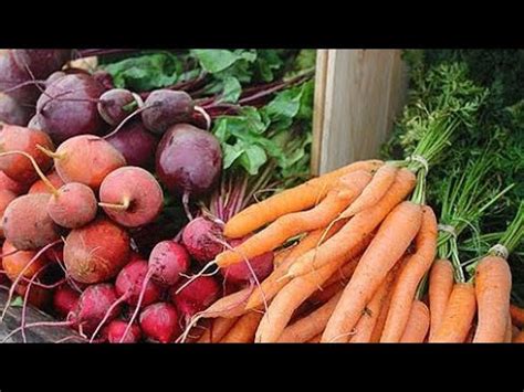 Супер способ хранения моркови и свеклы! - YouTube