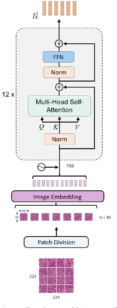 Figure From VisionLanguage Model For Visual Question Answering In Medical Imagery Semantic