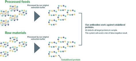 Allergen Testing Klipspringer