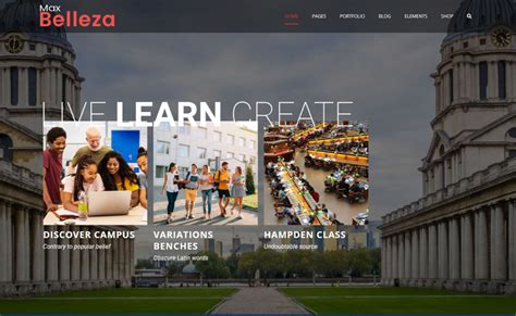 Popular Responsive Wordpress Themes For Modern Websites Belleza