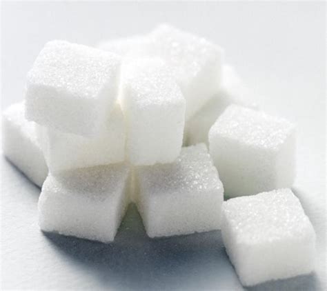 평생 두고 먹어도 되는 유통기한이 없는 식품 3가지 오펀 디스커스