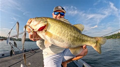 Targeting Bigger Bass In Late Summer These Tips Really Work