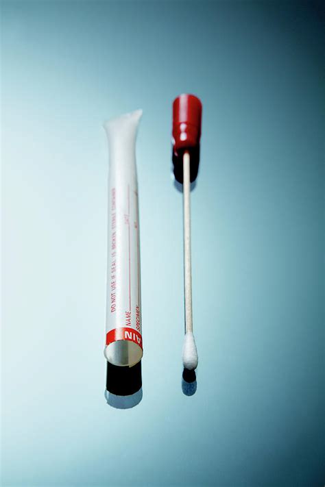 Sampling Swab Photograph By Kate Jacobs Science Photo Library Pixels