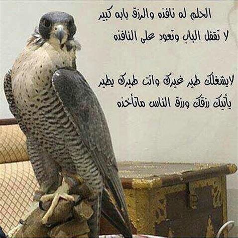 Aif8zzsfs7aukvotg5uwbz5uze4bhz0dnweggfc5svys900 C K C0x00ffffff No Rj