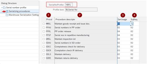 Sap Serial Number Sap Training And Coaching